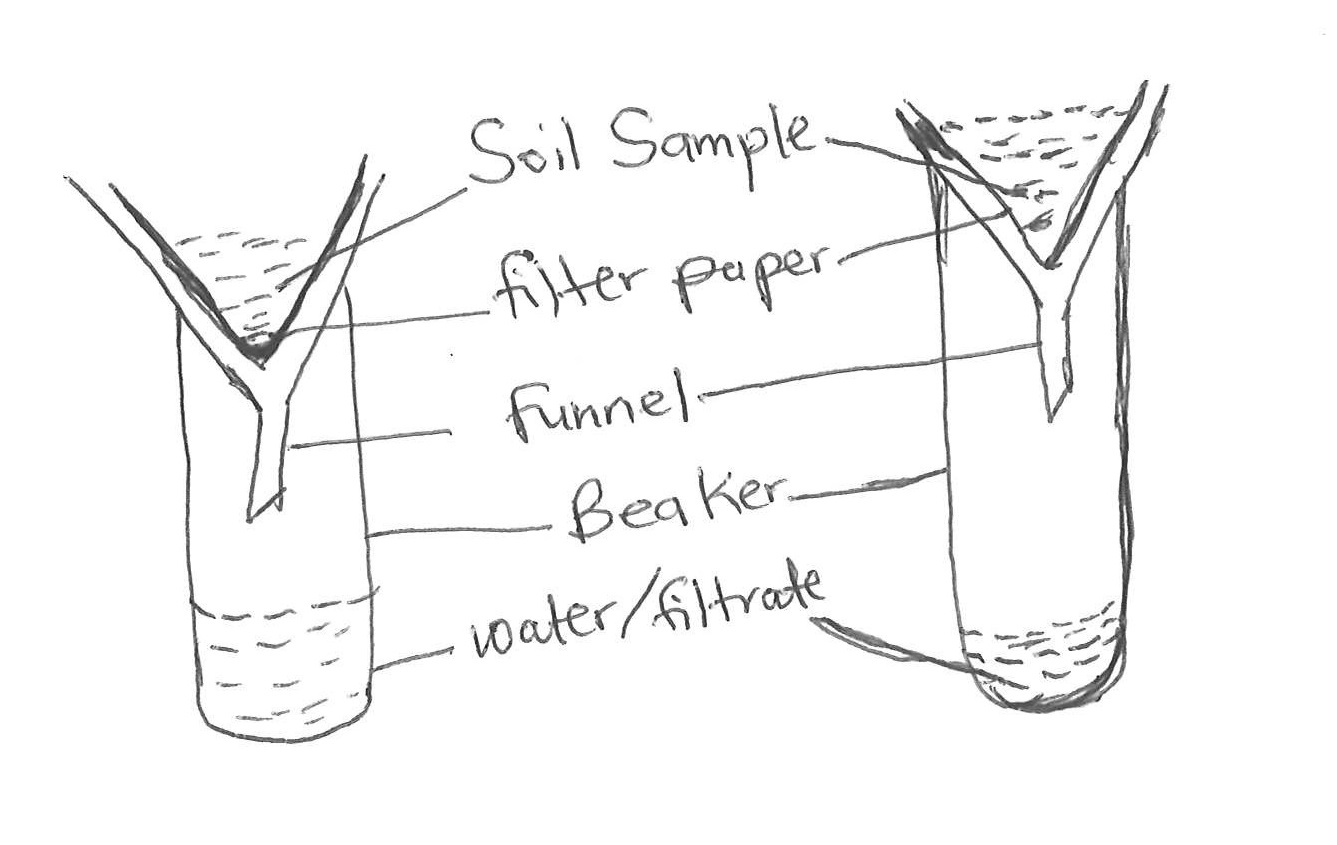 Kuulchat - BECE SCIENCE 2019