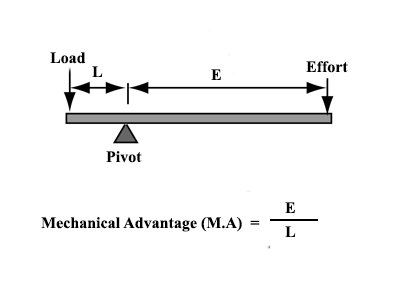Kuulchat - J.H.S / Grade 7 - 9 science Machines Practice Test Questions